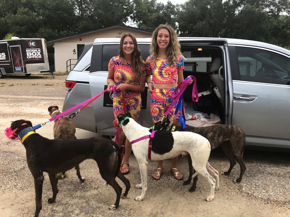 About – Greyhounds In Motion