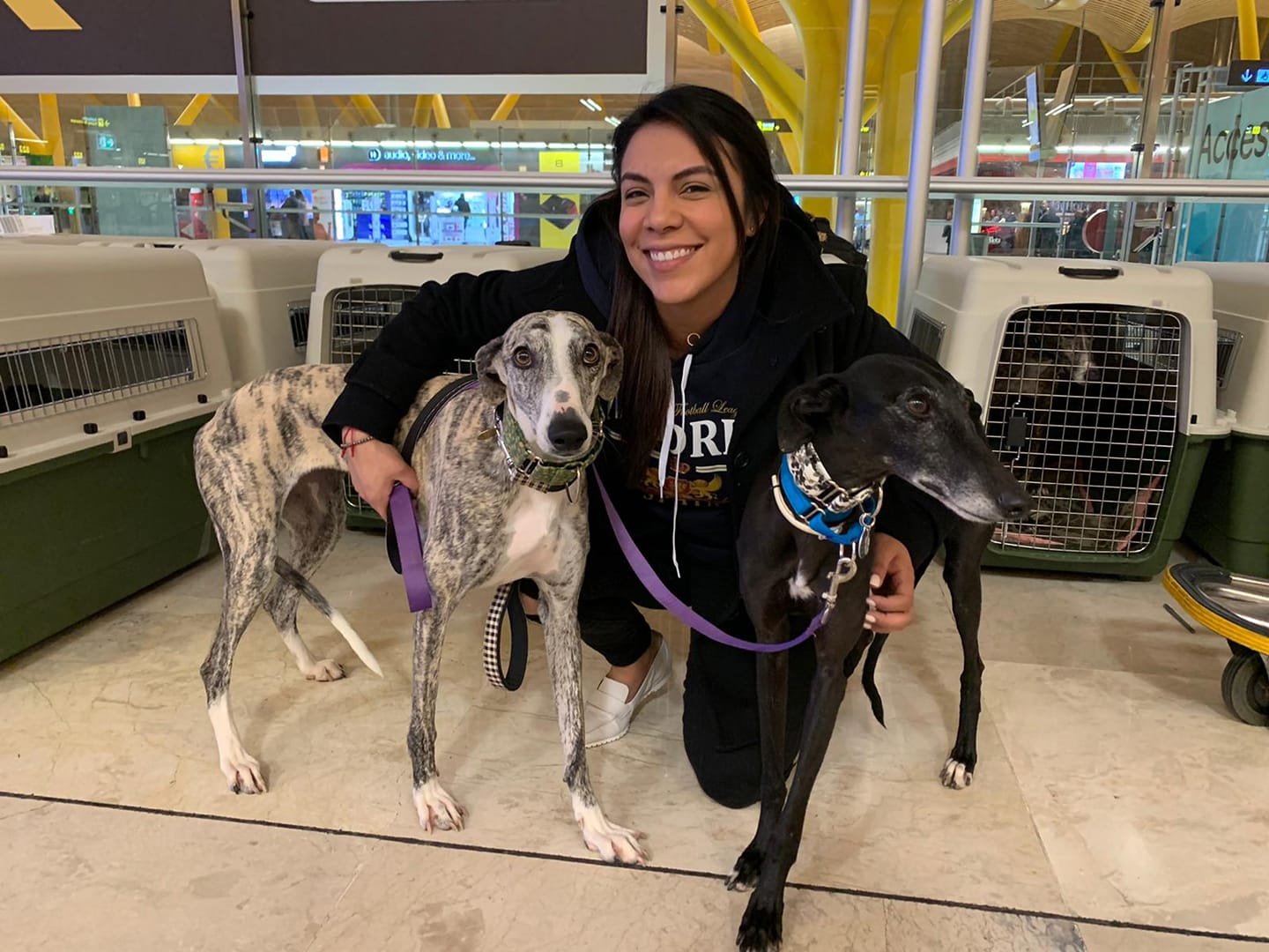 About – Greyhounds In Motion